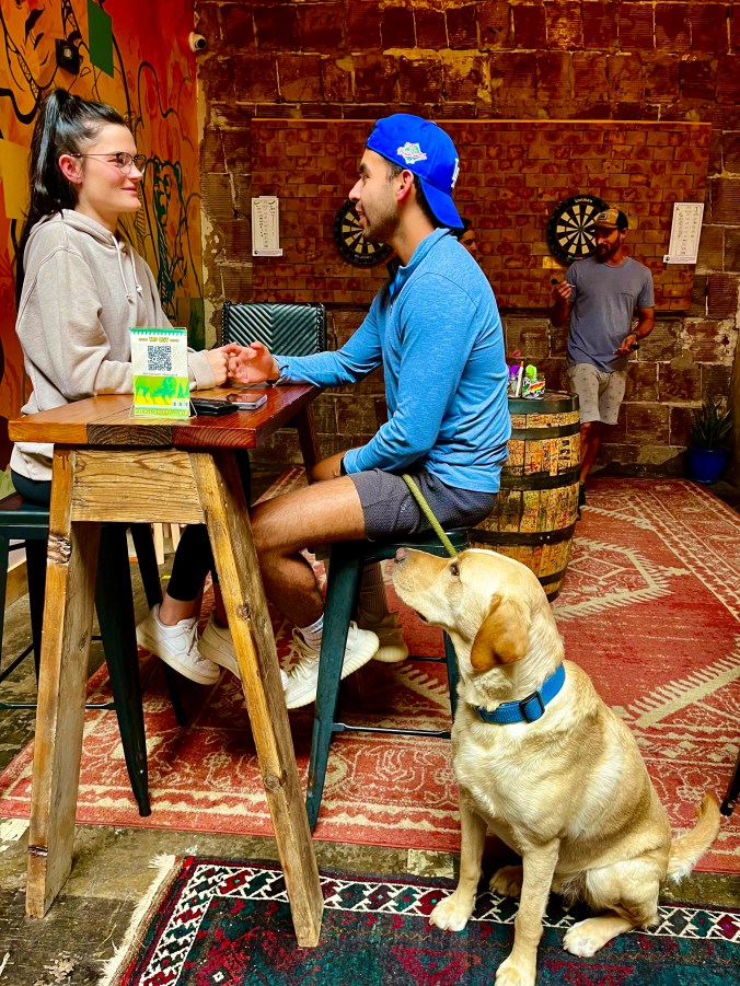 Casual Animal Brewing Company, KC, MO | A Taste of Mind